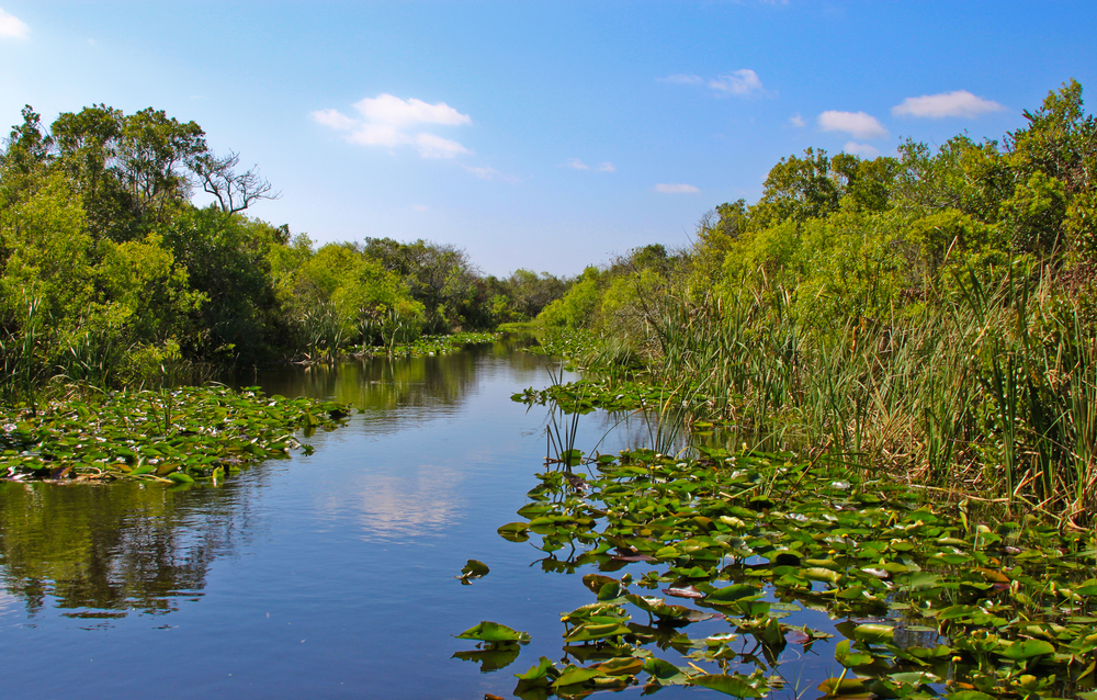 Everglades National Park (Official GANP Park Page)