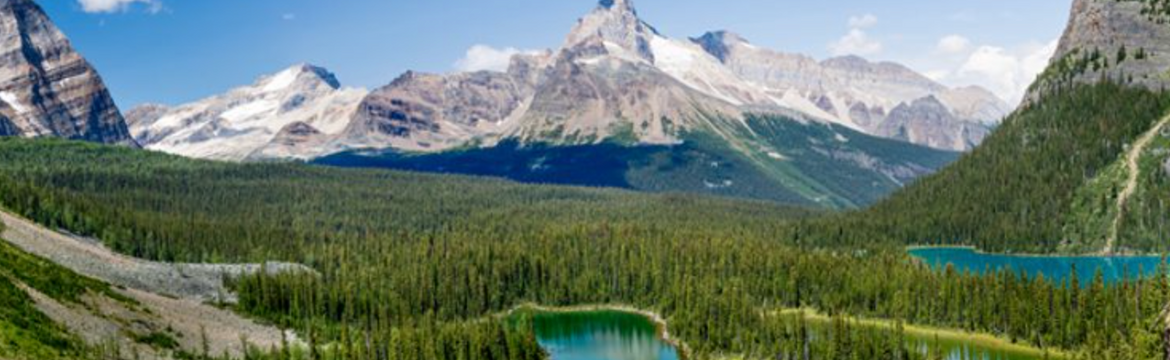 Canada Physician's Prescribe National Parks to Patients | (Official ...