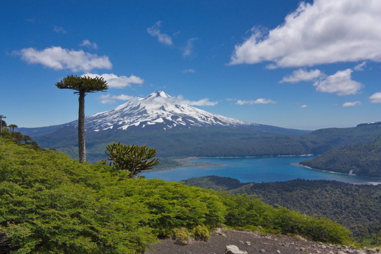 Conguillio National Park | (Official GANP Page)