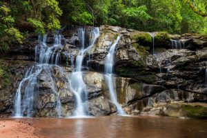 Amboro National Park | (Official GANP Page)
