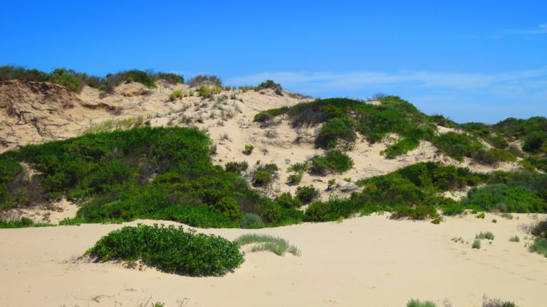 Coorong National Park | (Official GANP Page)