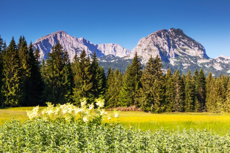 Durmitor National Park | (Official GANP Page)