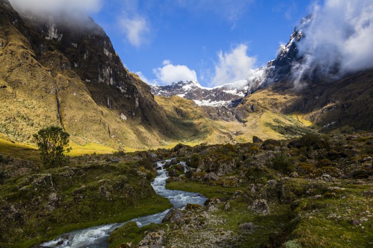 Sangay National Park | (Official GANP Page)