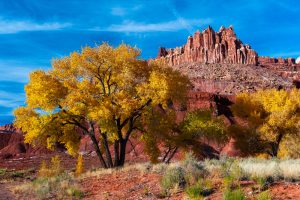 Capitol Reef National Park | (Official GANP Page)
