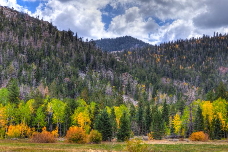 Great Basin National Park | (Official GANP Page)