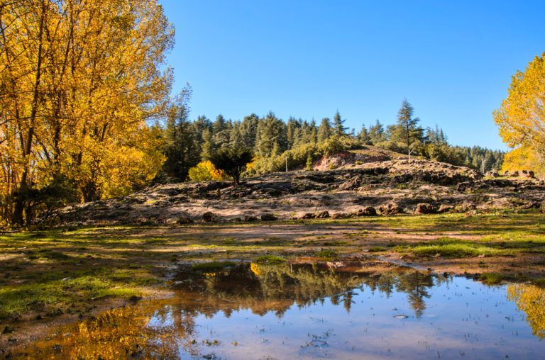 Ifrane National Park | (Official GANP Page)