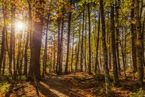 Kejimkujik National Park | (Official GANP Page)