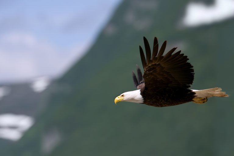 Banff National Park | (Official GANP Page)