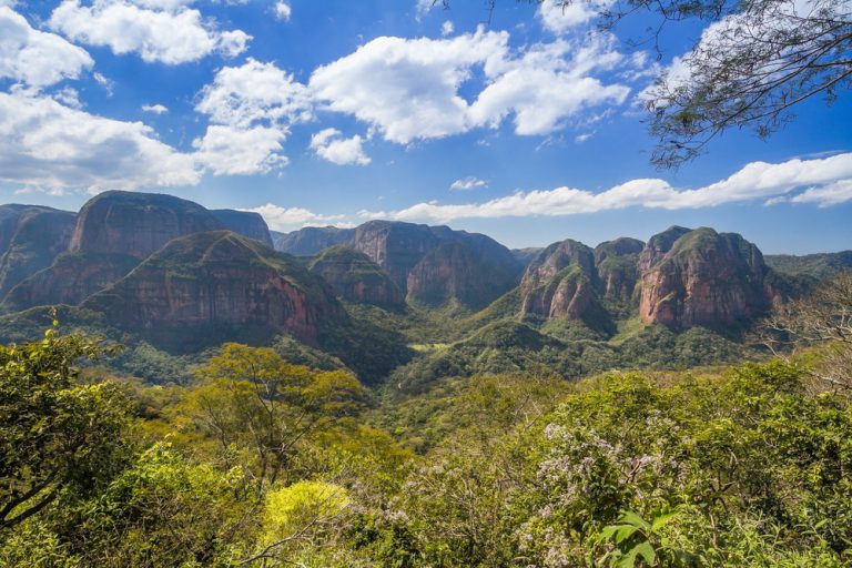Amboro National Park | (Official GANP Page)