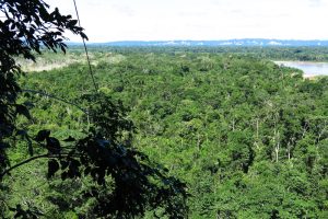 Madidi National Park | (Official GANP Page)