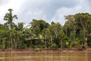 Madidi National Park | (Official GANP Page)
