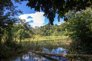 Madidi National Park | (Official GANP Page)