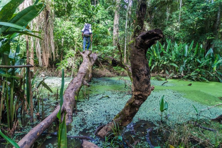 Madidi National Park | (Official GANP Page)