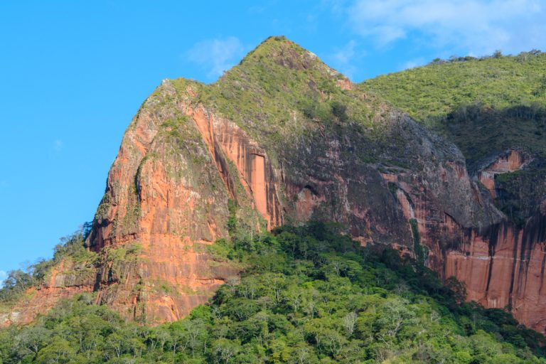 Amboro National Park | (Official GANP Page)
