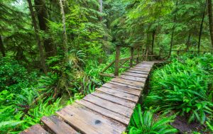 Pacific Rim National Park | (Official GANP Page)