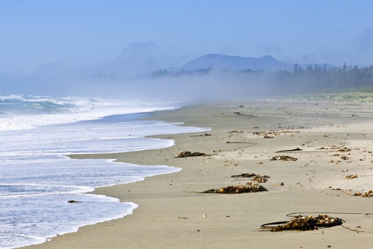 Pacific Rim National Park | (Official GANP Page)