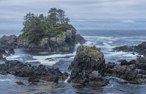 Pacific Rim National Park | (Official GANP Page)