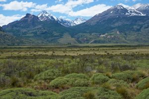 Patagonia National Park | (Official GANP Page)