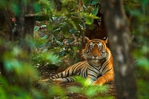 Canaima National Park | (Official GANP Page)