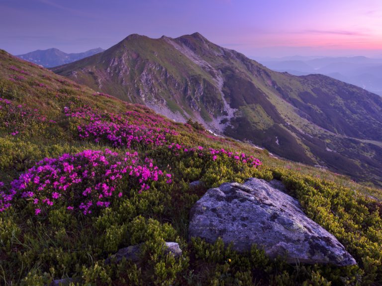 Rodna Mountains National Park | (Official GANP Page)