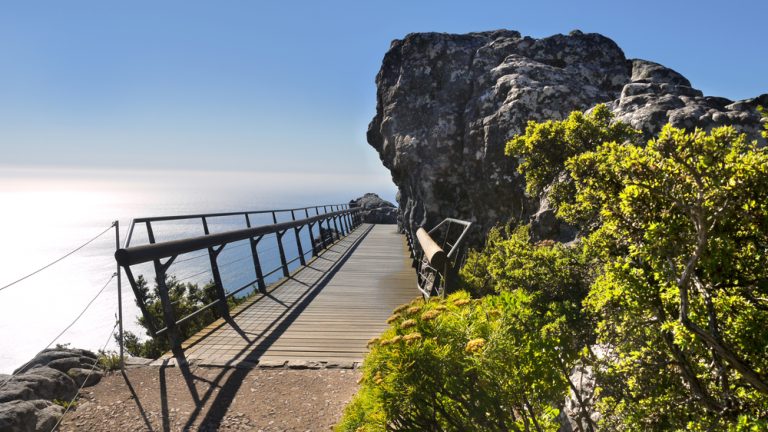 Table Mountain National Park | (Official GANP Page)