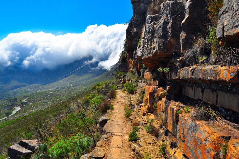 Table Mountain National Park | (Official GANP Page)