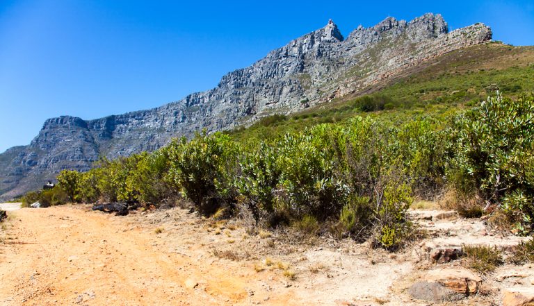 Table Mountain National Park | (Official GANP Page)